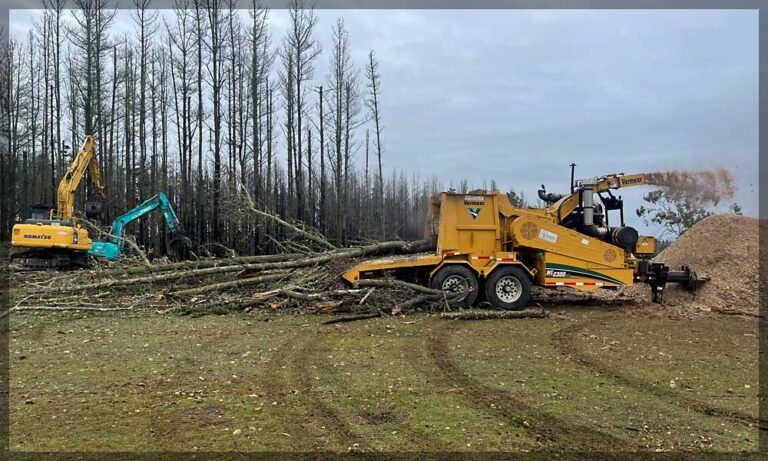 Wood Chipping Services - Eurobodalla Tree Services